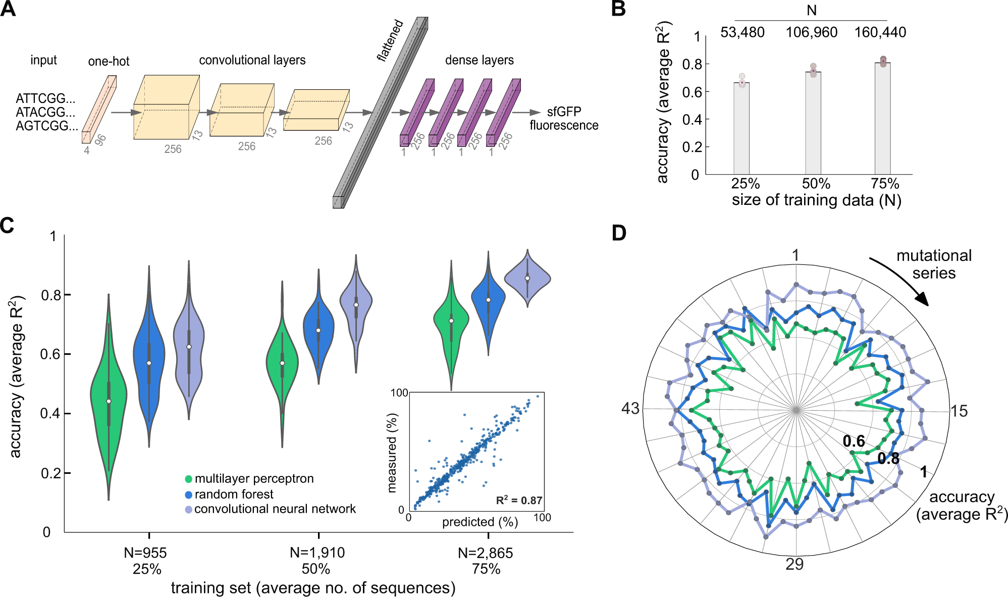 Accuracy and data efficiency in deep learning models of protein ...
